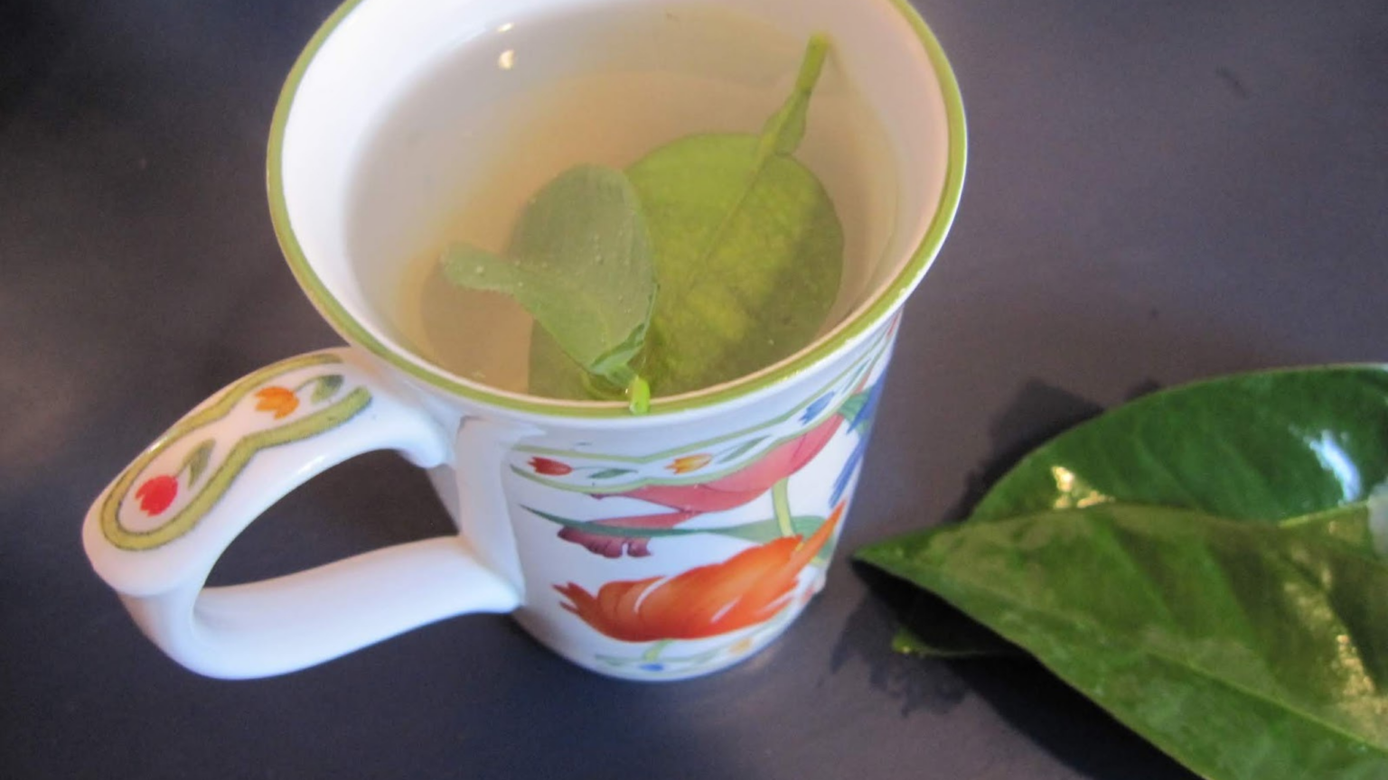 The Incredible Benefits of Lemon Leaves: Nature’s Hidden Treasure ...