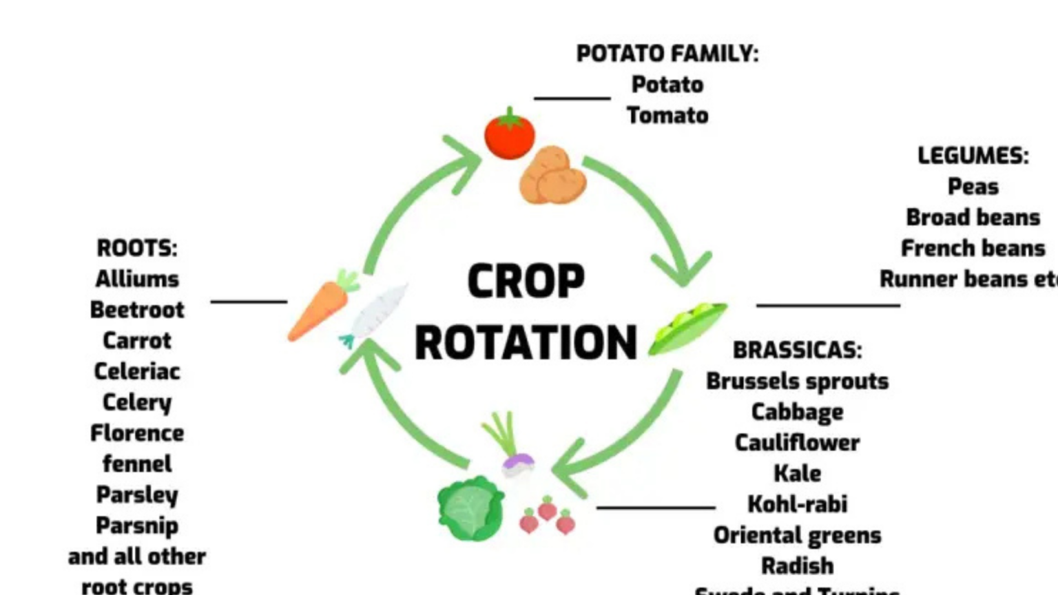 How to Implement Crop Rotation: Understanding the Benefits for Your ...