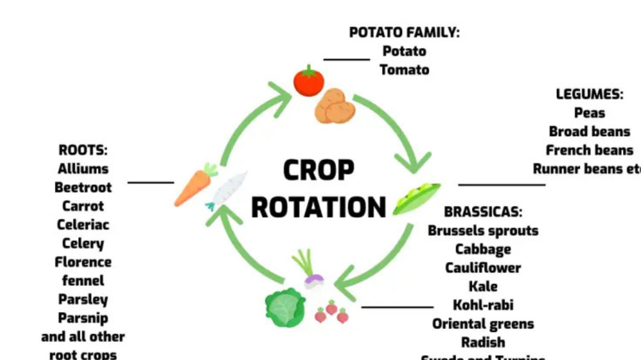 How to Implement Crop Rotation: Understanding the Benefits for Your ...