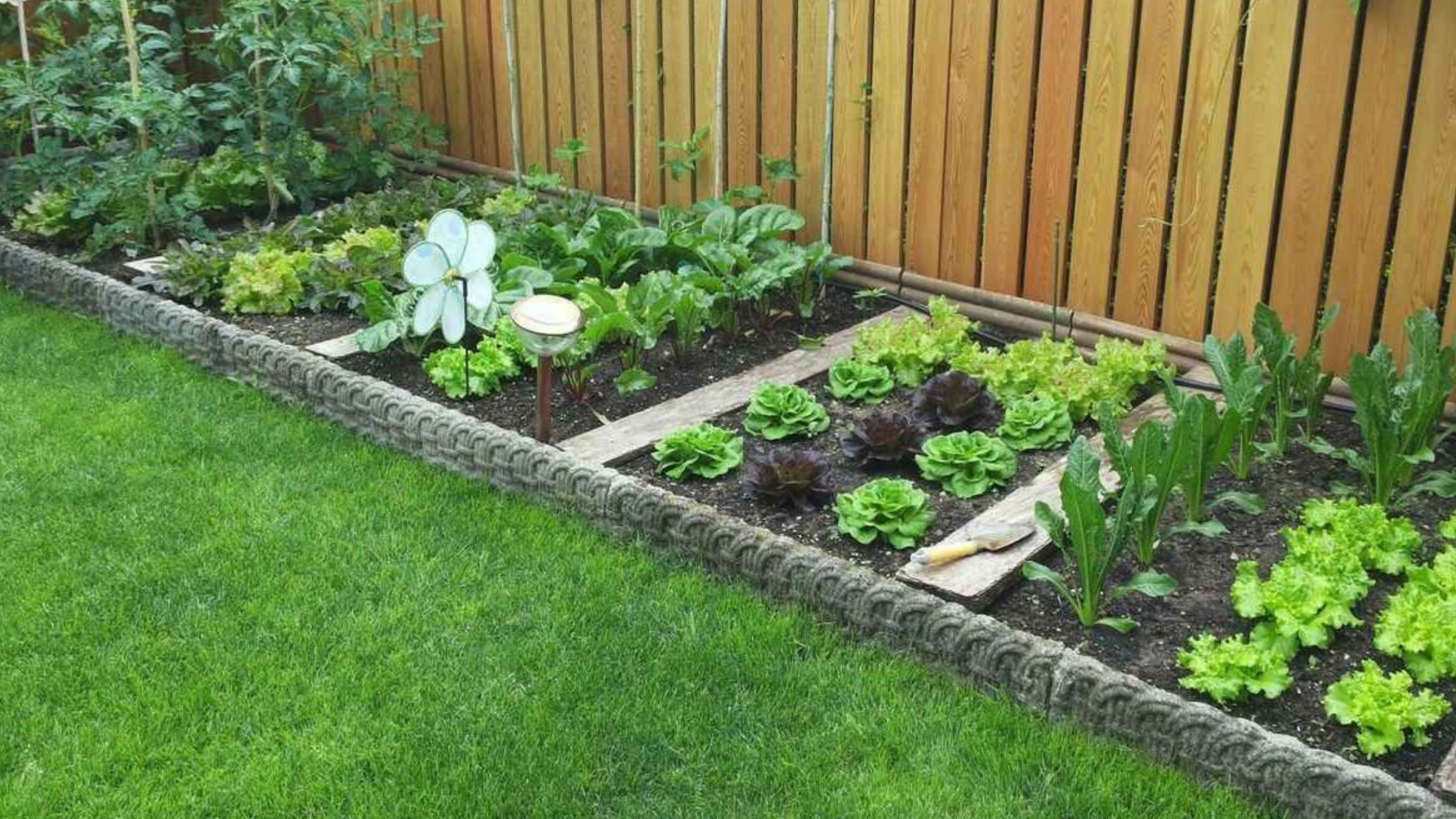 Innovative Garden Hacks for Greener Plants - green garden