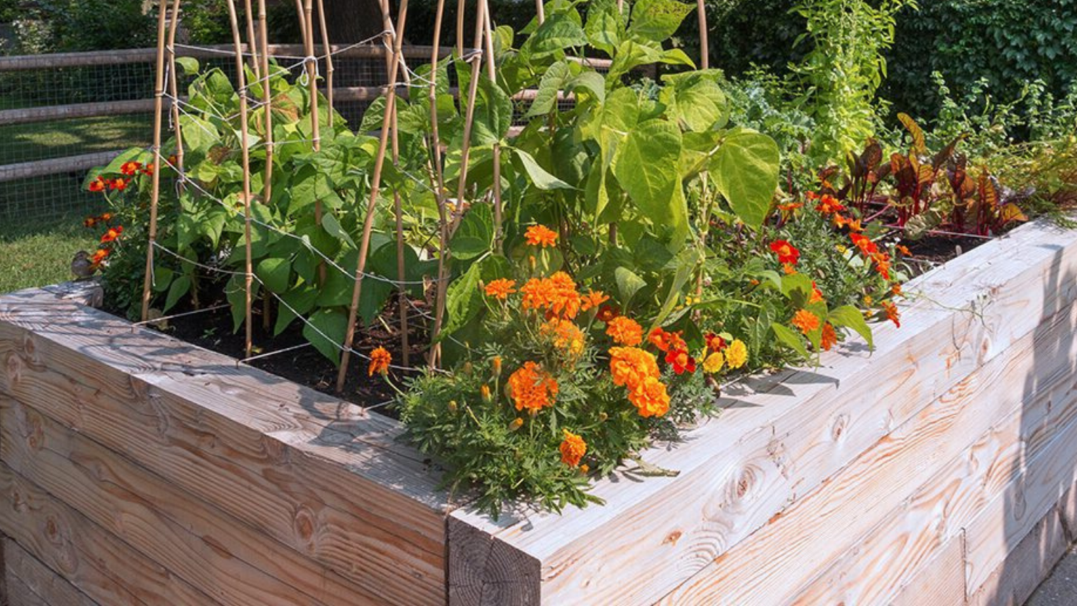 Innovative Garden Hacks for Greener Plants - green garden