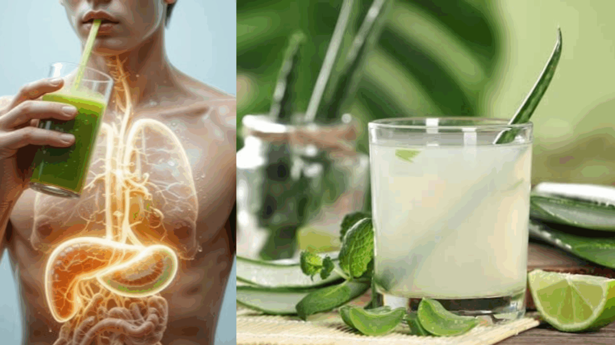 11 Compelling Reasons to Drink Aloe Vera Water Every Day - green garden