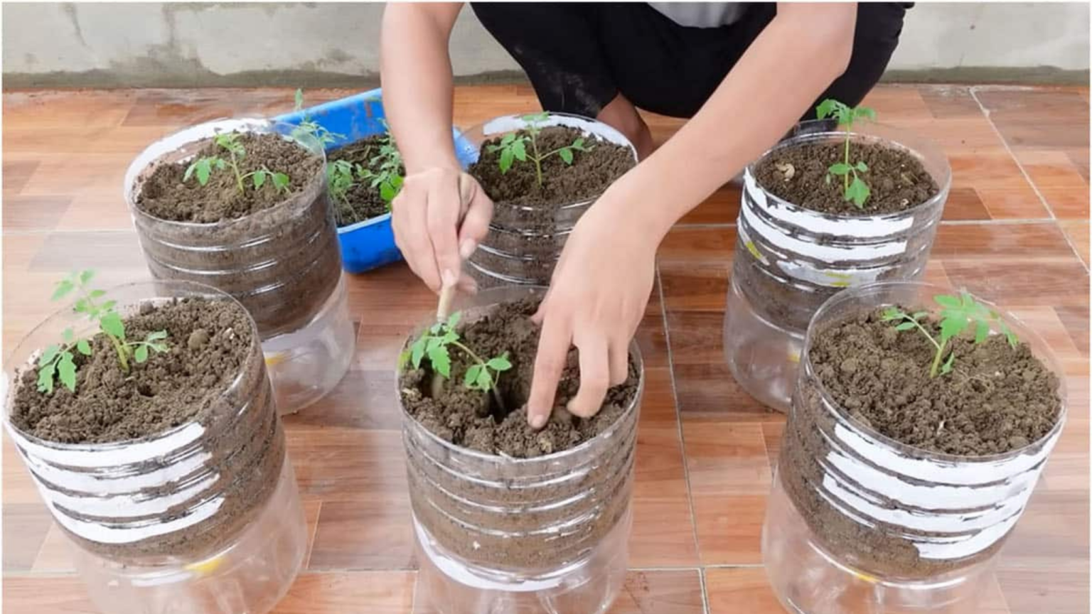 32 Creative Ways to Reuse Plastic Bottles for Your Home and Garden ...