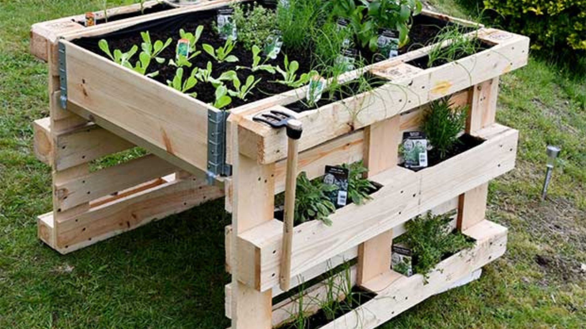 Build Your Own Pallet Raised Garden Bed: A Step-by-Step Guide - green ...