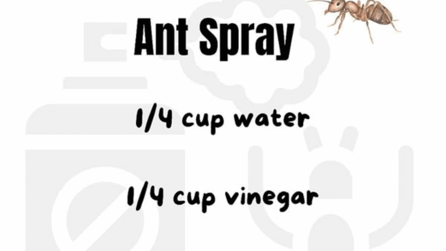 DIY Natural Ant Spray: Keep Your Home Bug-Free Without Chemicals ...