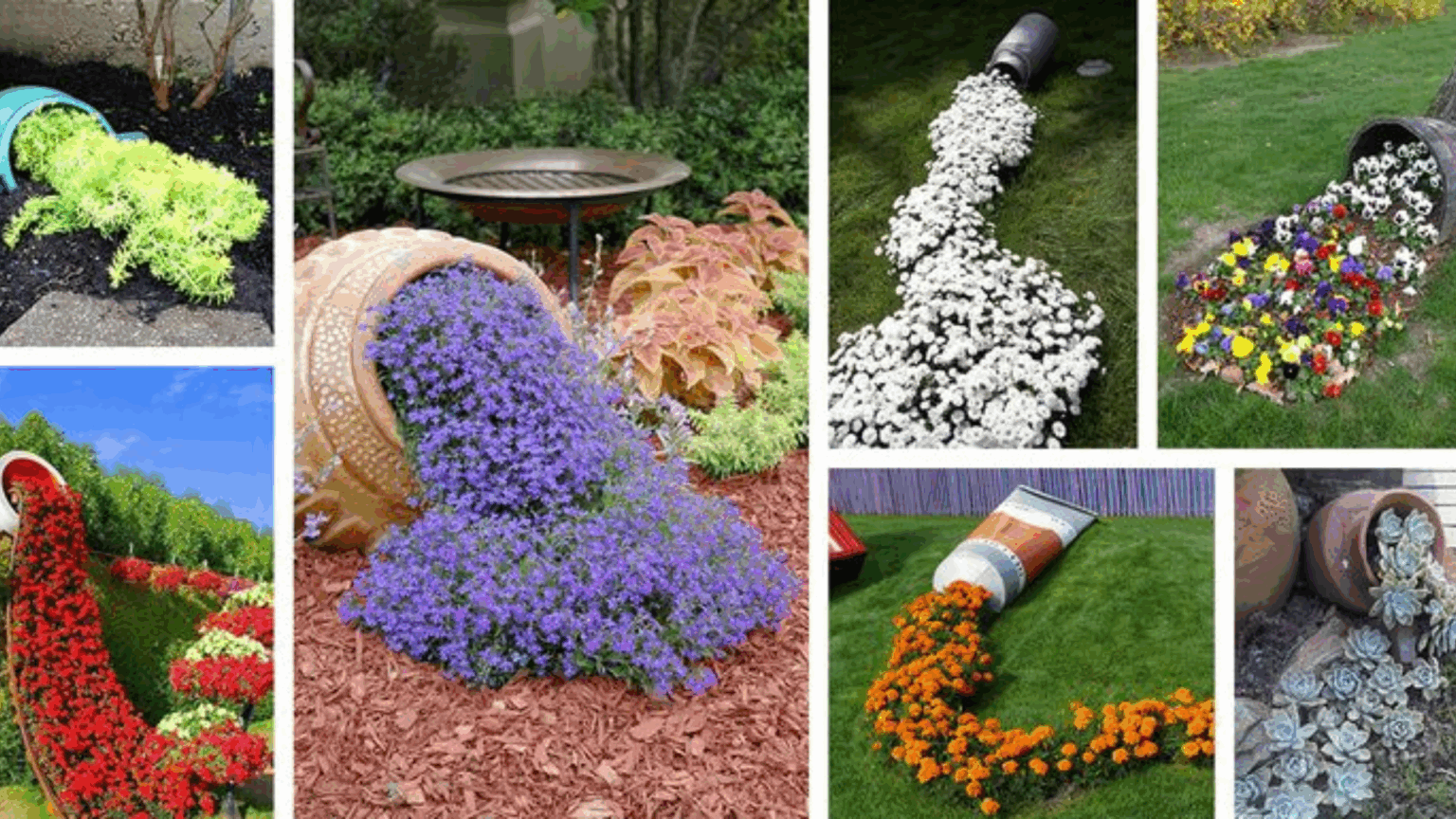 20 Beautiful Ground Covers for Shaded Garden Areas - green garden