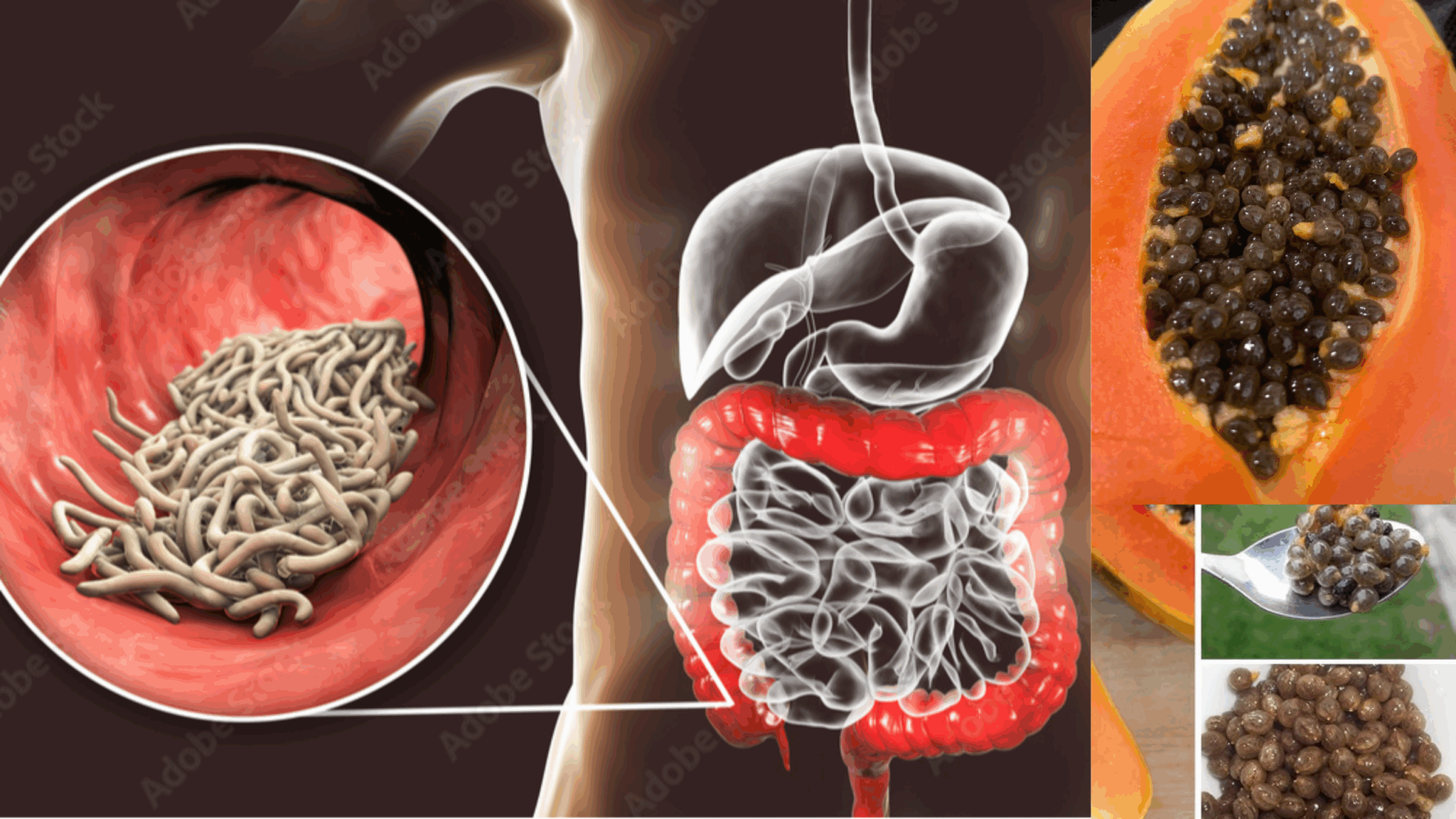 Unlocking the Power of Papaya Seeds: 15 Amazing Health Benefits and ...